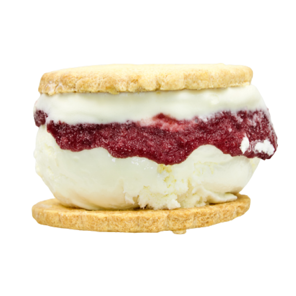 Experience Cherry Vanilla Perfection - Gourmet Ice Cream Sandwich ...